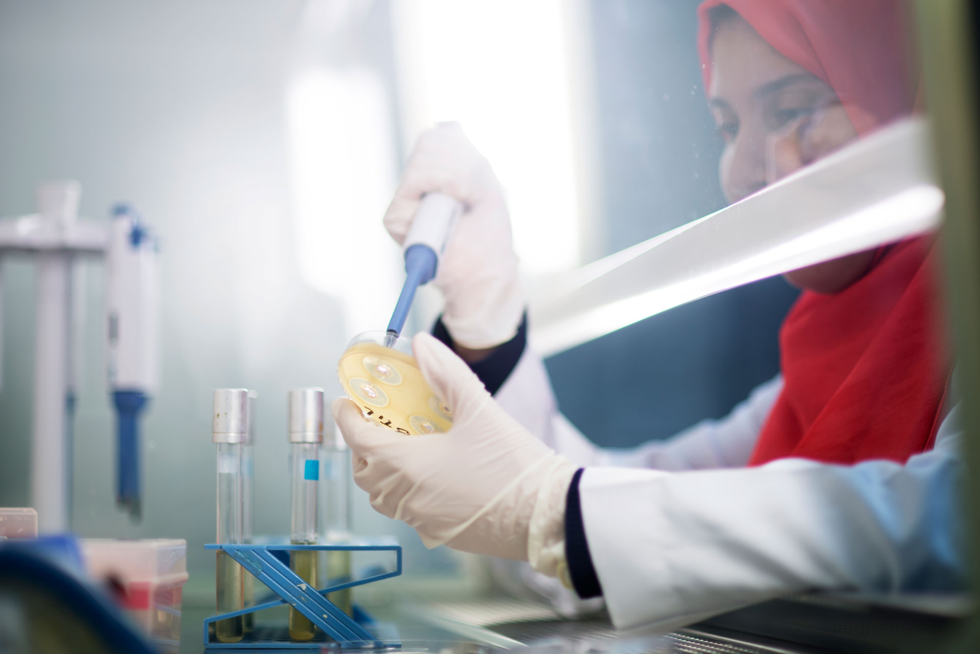 QCAP | The Central Laboratory for analysis of pesticide residues and ...