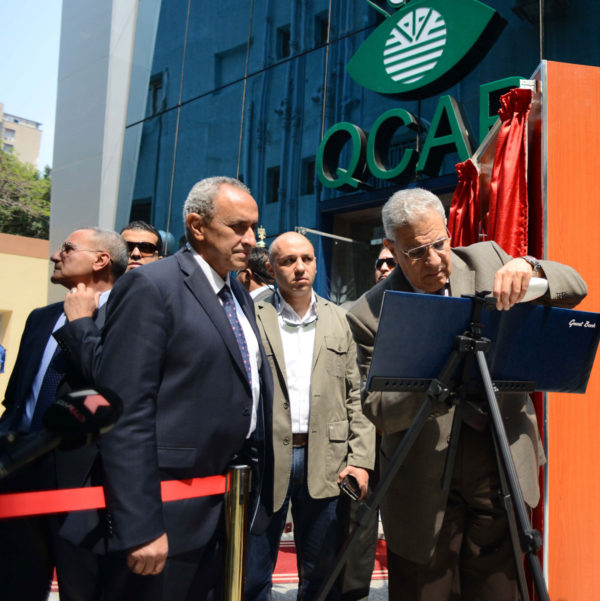 Word of Lab Director | Qcap