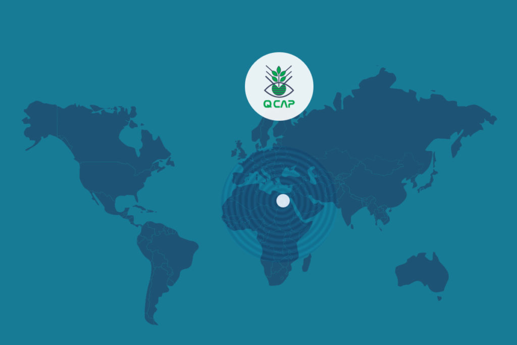 Lab Executive Plans | Qcap