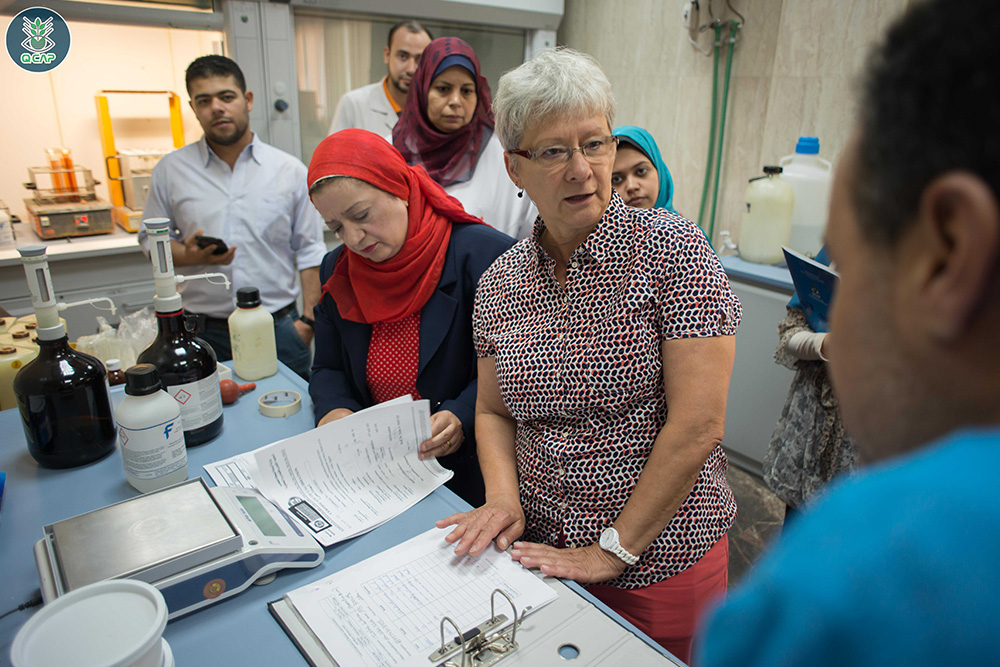 Media Library | Qcap